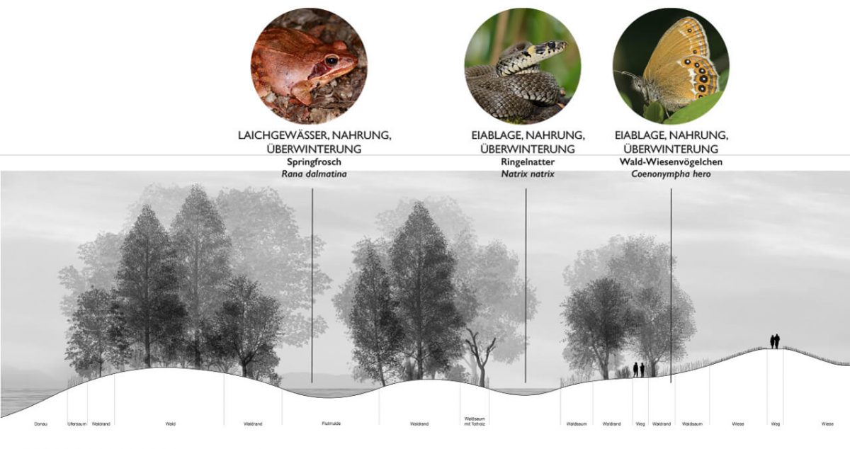 ANIMAL-AIDED DESIGN FOR THE CITY PARK DANUBE IN INGOLSTADT – AAD