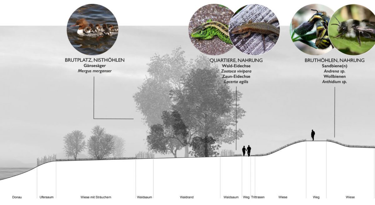 ANIMAL-AIDED DESIGN FOR THE CITY PARK DANUBE IN INGOLSTADT – AAD