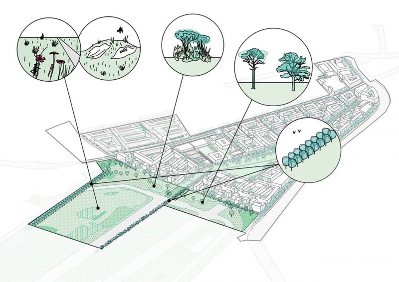 ANIMAL-AIDED DESIGN SCHUMACHER QUARTIER BERLIN – AAD