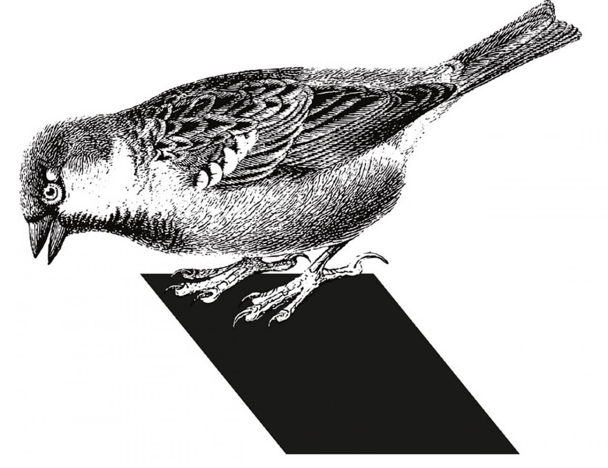 AAD – Animal-Aided Design