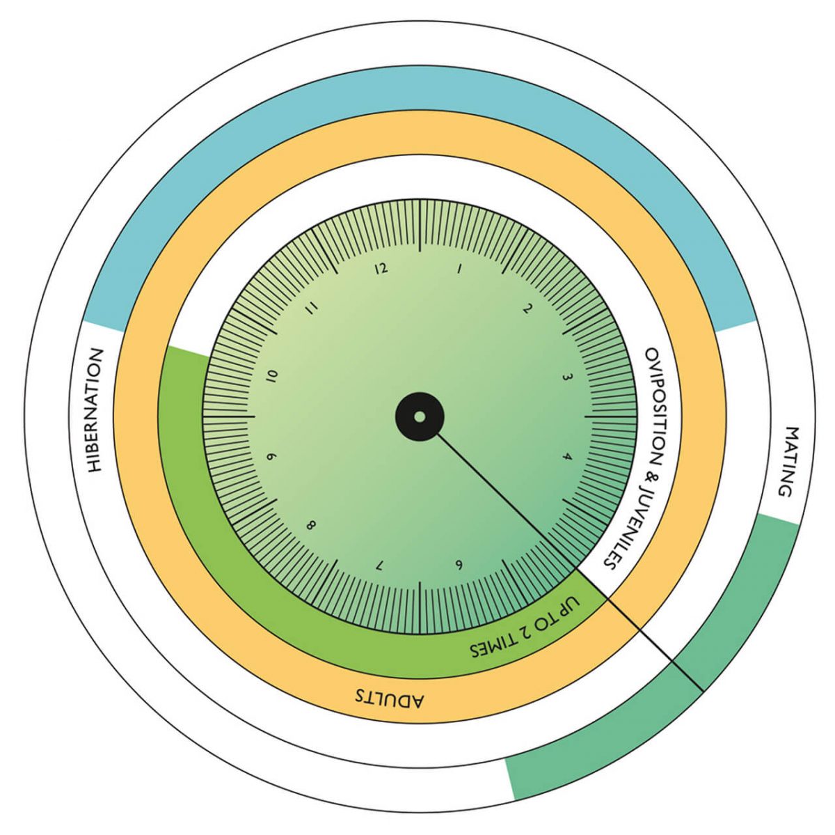 AAD – Animal-Aided Design