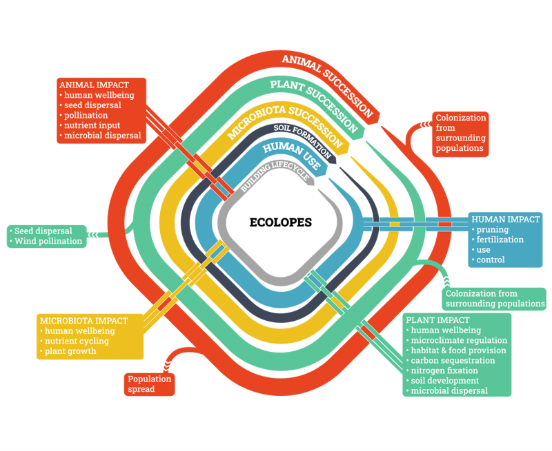 Tempelhofer Feld Design Competition – Studio Animal-Aided Design in the ...