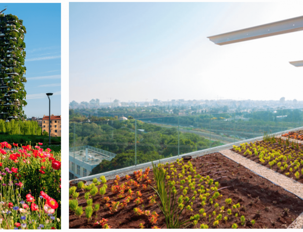 ANIMAL-AIDED DESIGN – AAD