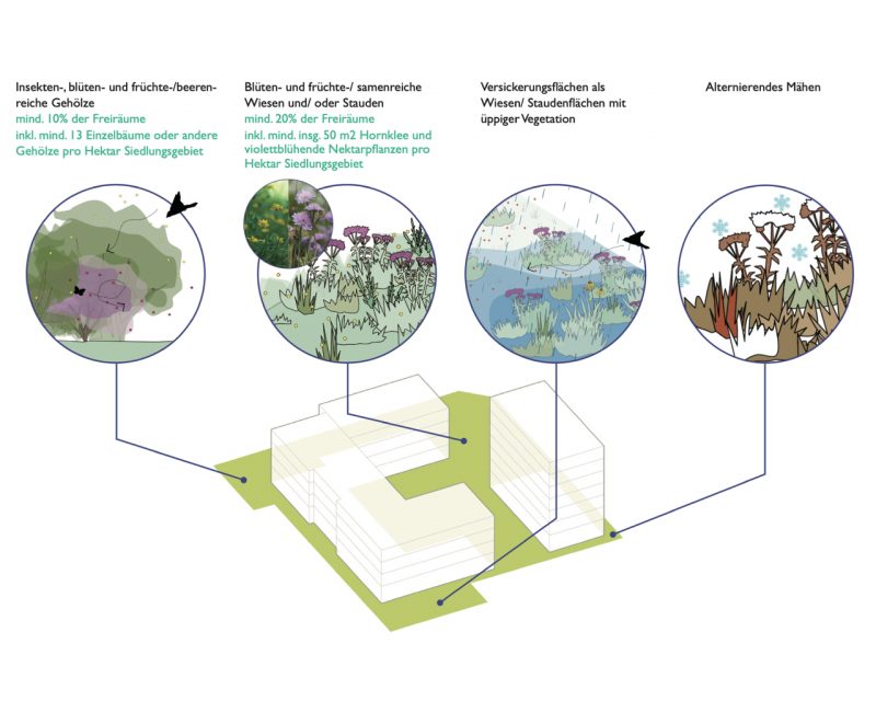 Tempelhofer Feld Design Competition – Studio Animal-Aided Design in the ...