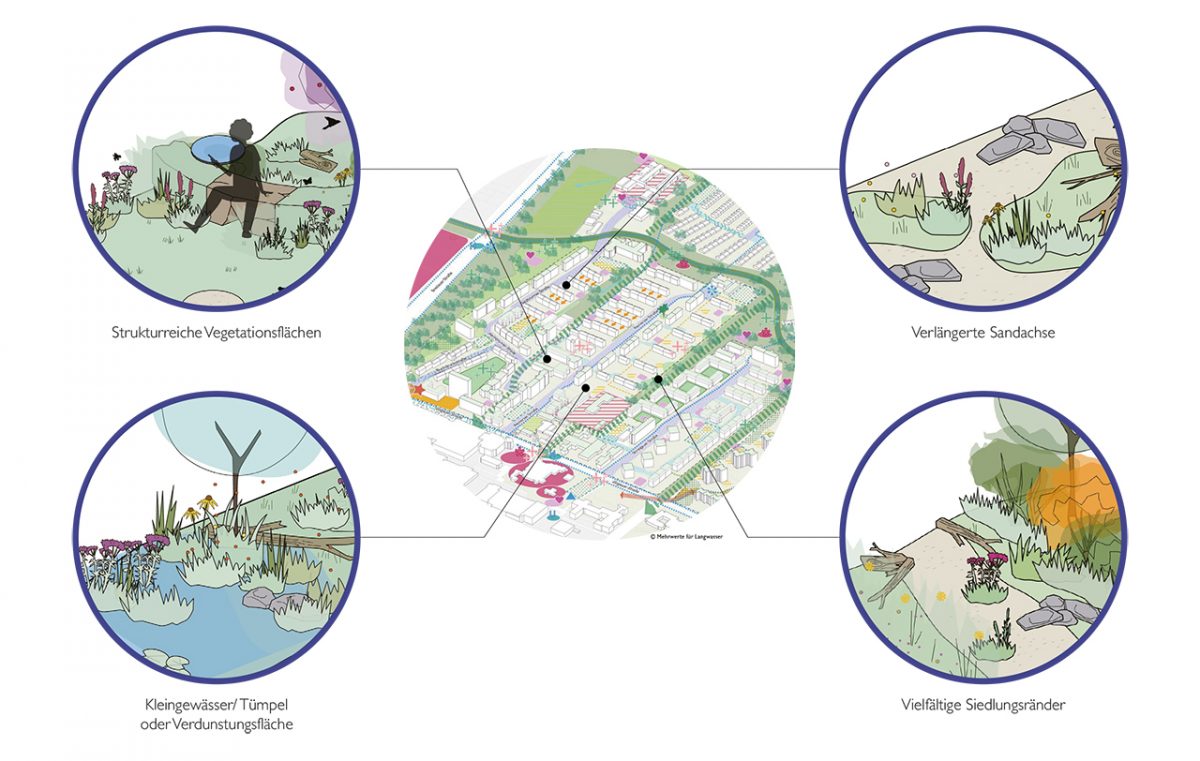 Tempelhofer Feld Design Competition – Studio Animal-Aided Design in the ...