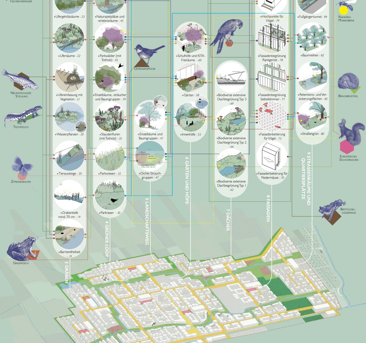 Tempelhofer Feld Design Competition – Studio Animal-Aided Design in the Second Phase